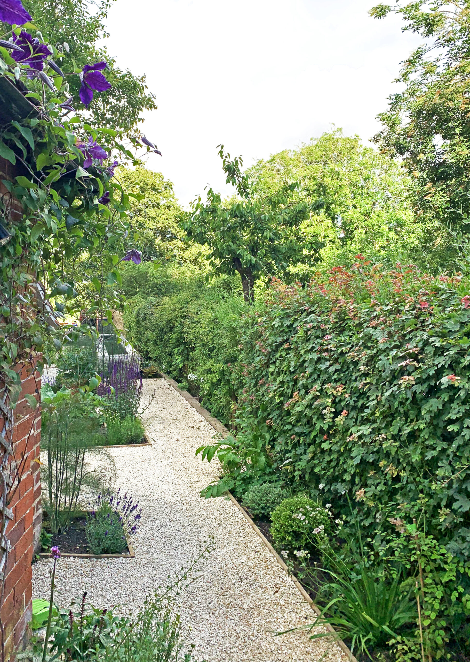 Narrow Garden Design Essex | Alice Ferguson Garden Design