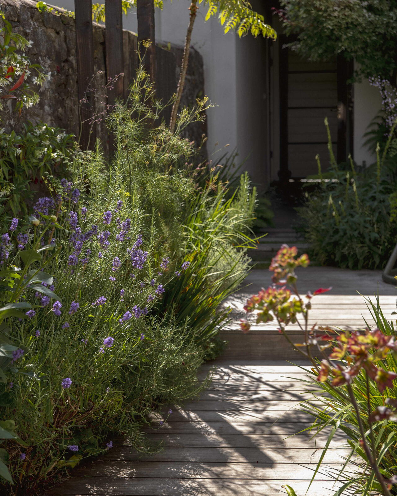 Bristol Garden Design | Alice Ferguson Bristol